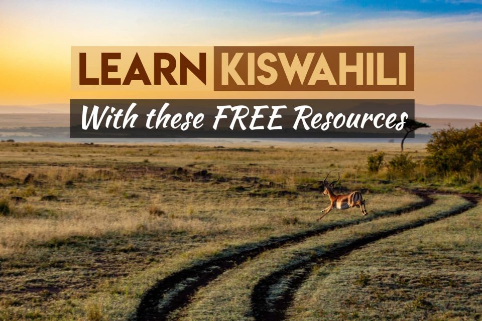 Simple (and Super Common) Swahili Proverbs | Discover Discomfort