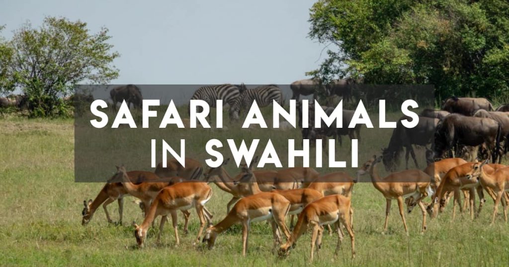 Swahili Noun Classes — Ultimate Cheat Sheet | Discover Discomfort