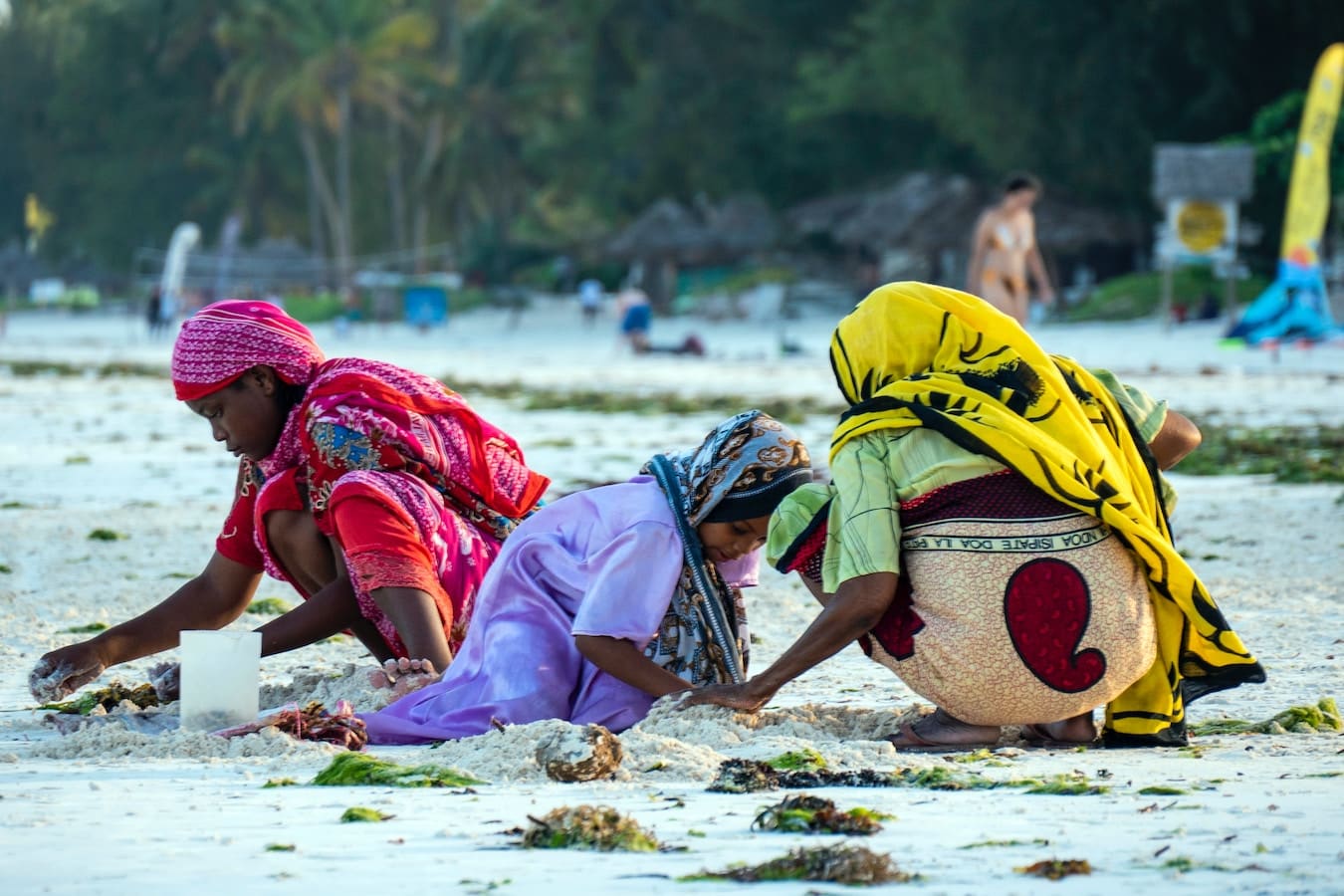 The 9 Most Spoken Languages in Africa — Complete Guide