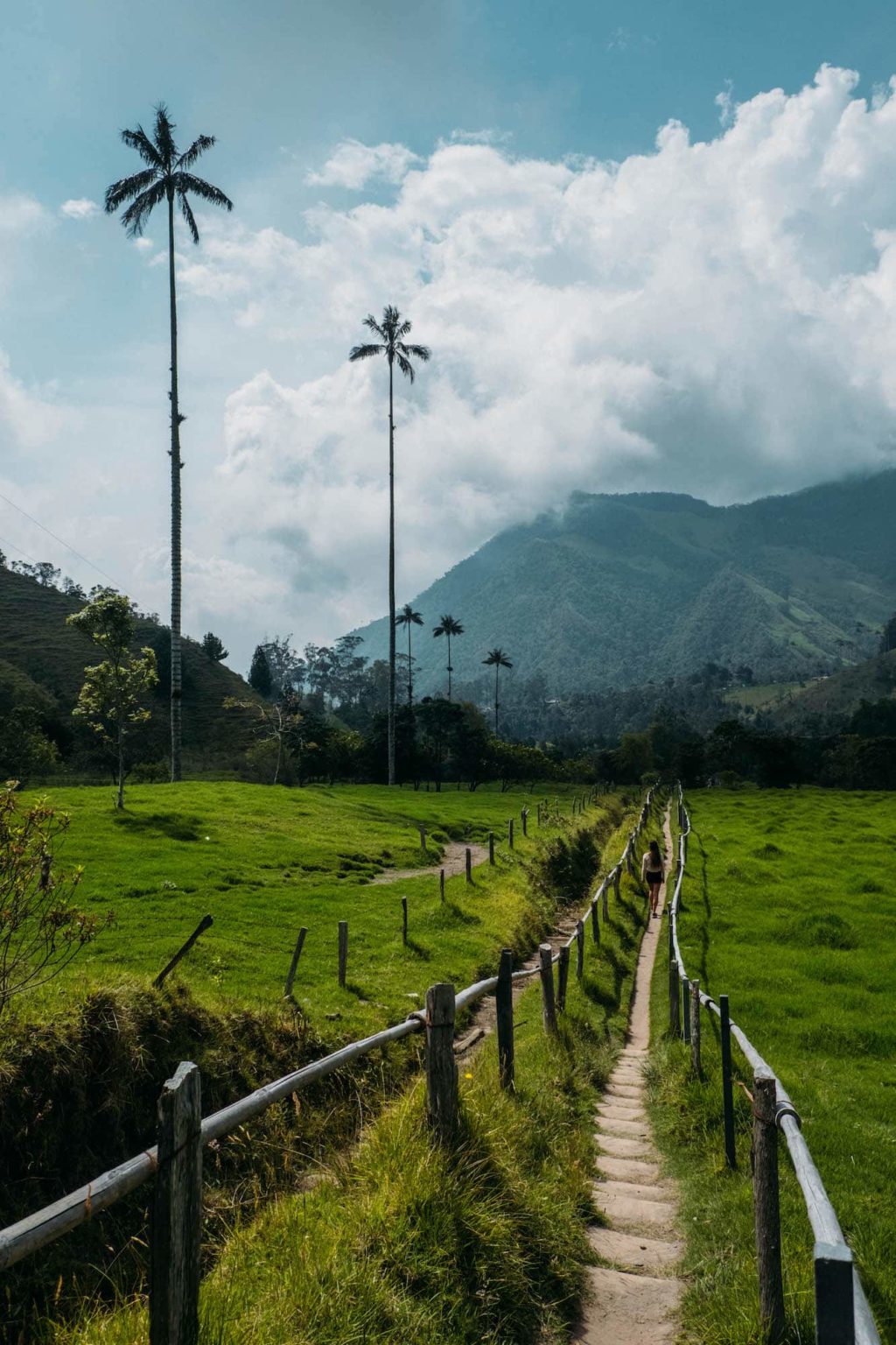 The Ultimate Valle de Cocora Hiking Guide | Discover Discomfort