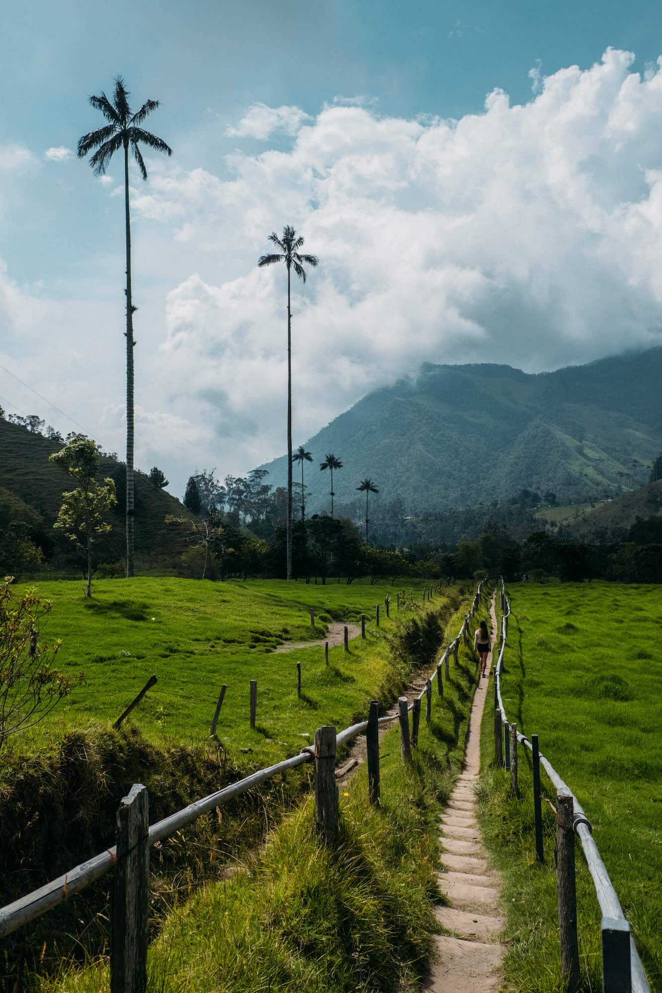 The Ultimate Valle de Cocora Hiking Guide | Discover Discomfort
