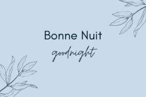 6 Ways to Say Goodnight in French