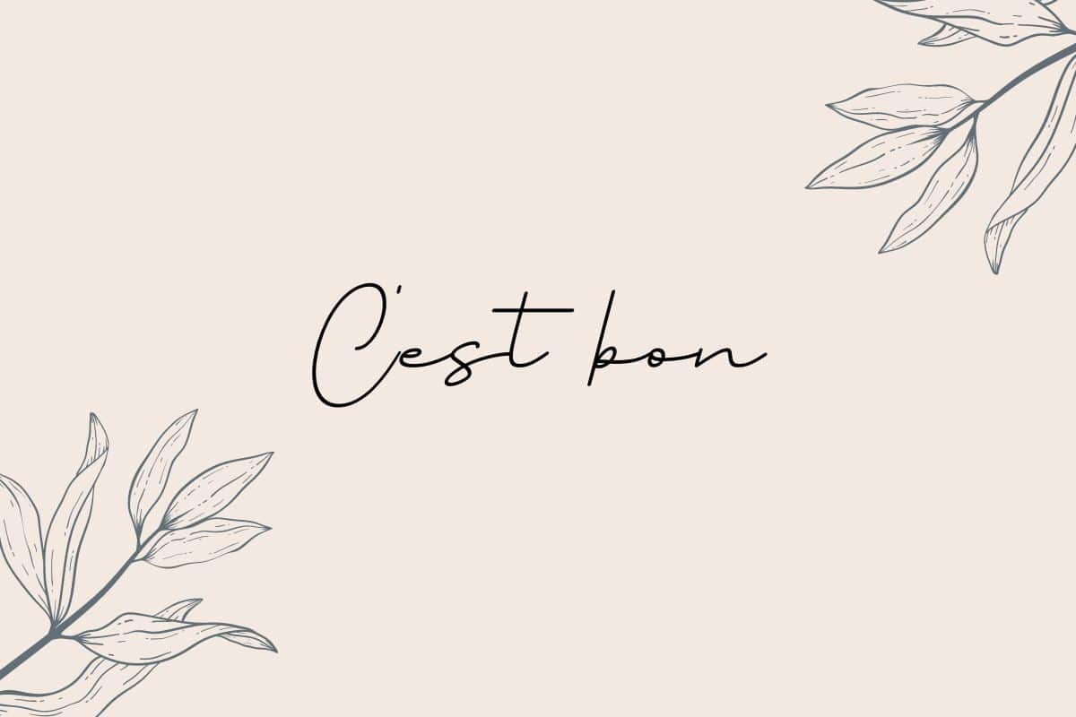 C est Bon How To Correctly Use This Versatile Expression Discover C est Bon How To Correctly Use This Versatile Expression Discover